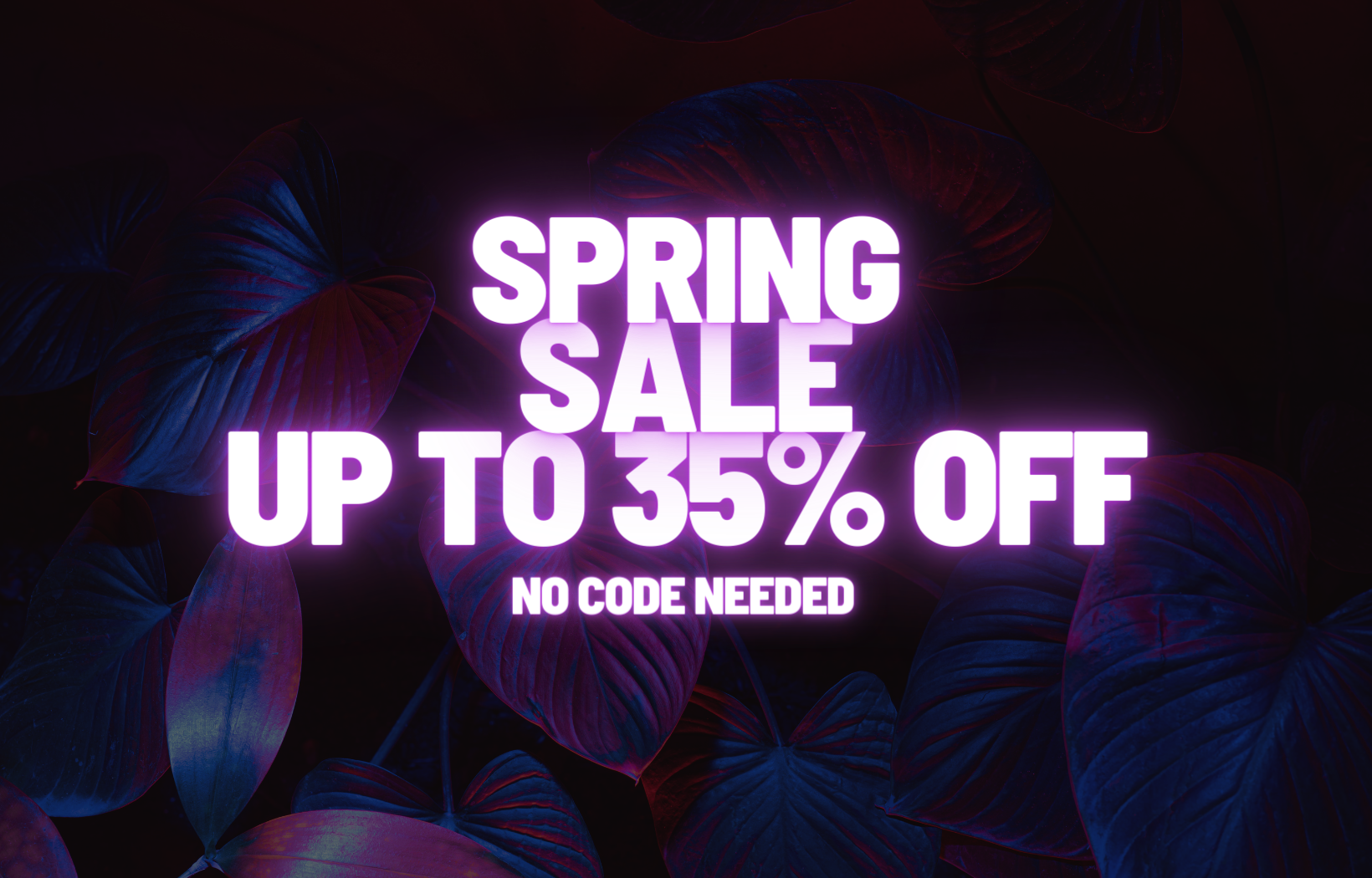 Custom & Pre-Made LED Neon Signs For All Spaces | NeonNiche