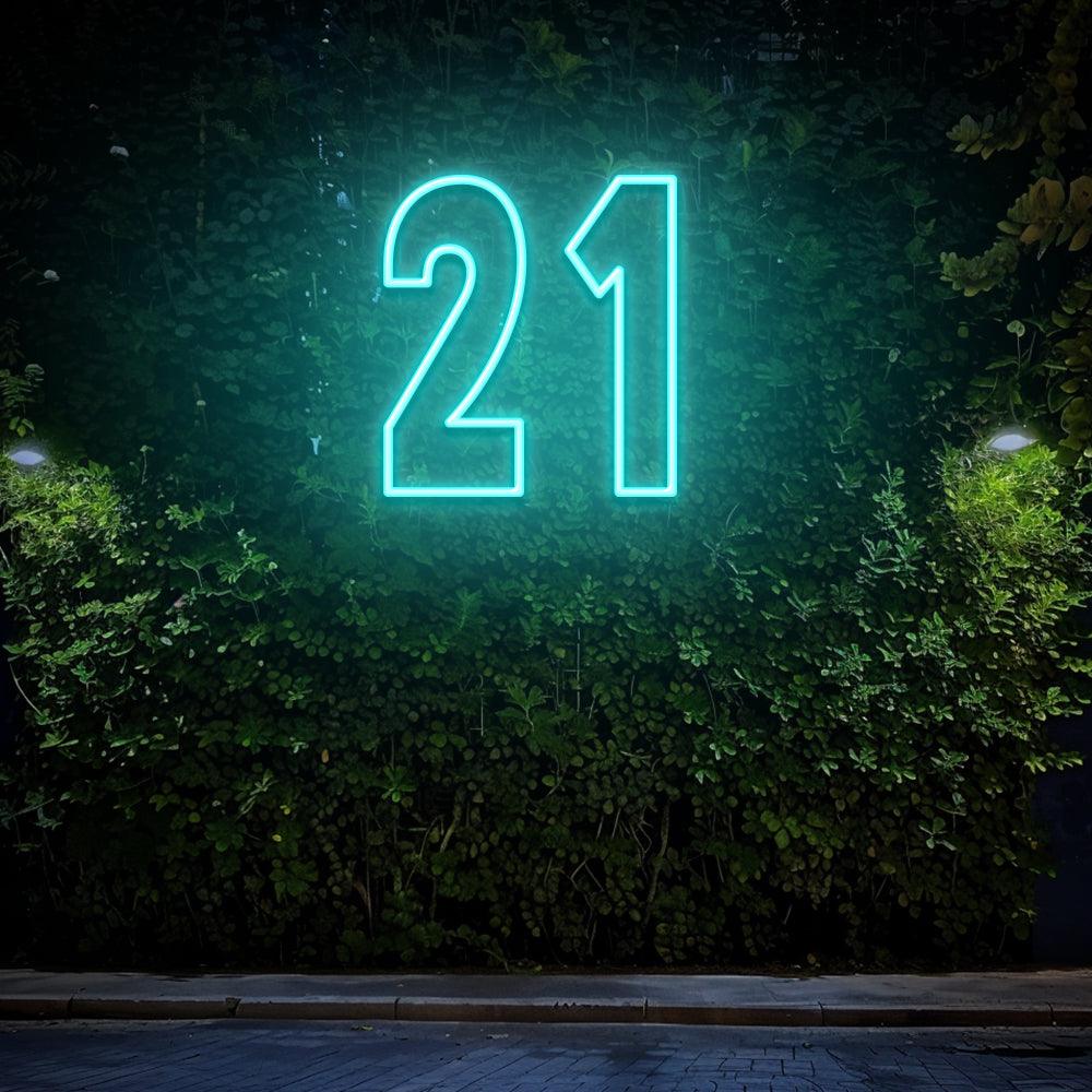 21 - LED Neon Sign – Page 1 – NeonNiche