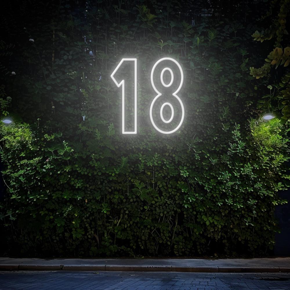 LED Neon Sign, 18th Birthday Neon – NeonNiche