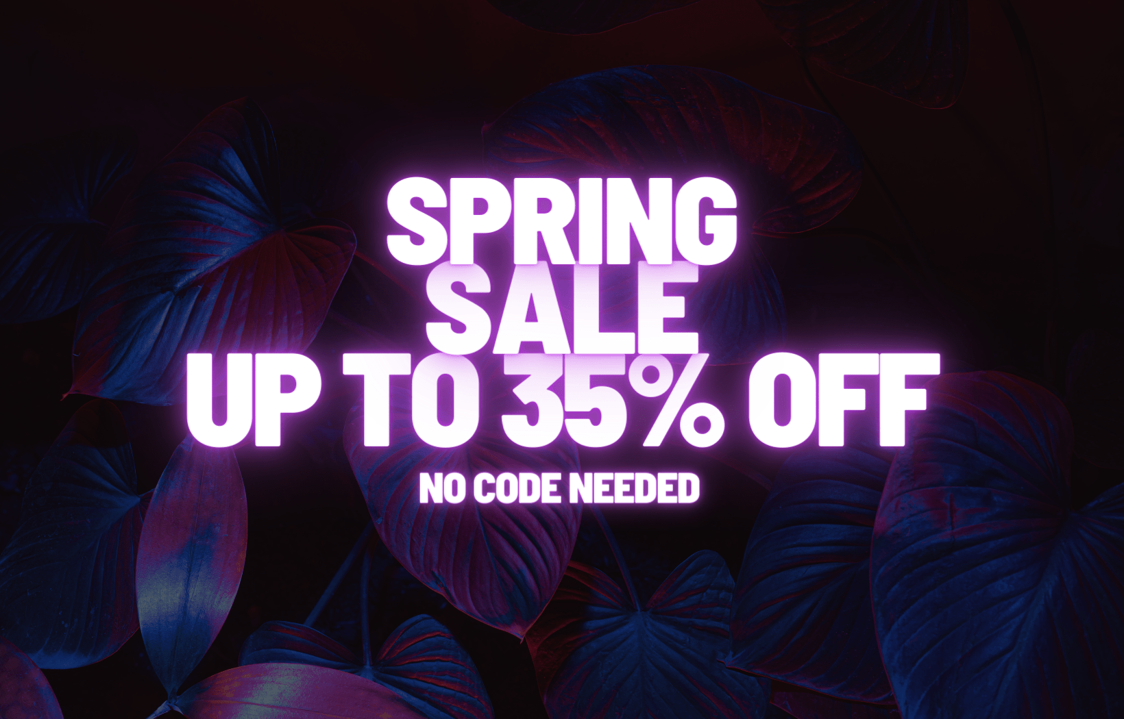 Custom & Pre-Made LED Neon Signs For All Spaces | NeonNiche