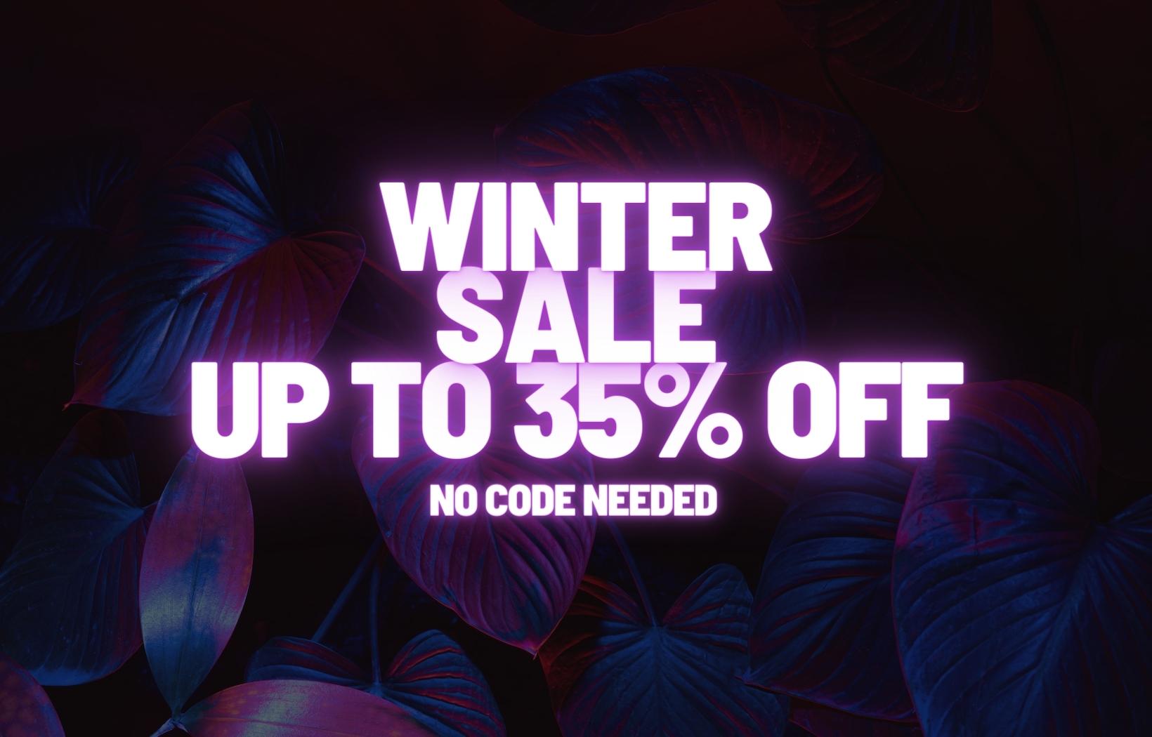 Custom LED Neon Signs for Your Dream Bedroom | NeonNiche